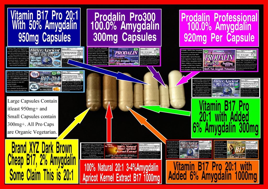 Amigdalina B17 Maxima Concentracion 1.000 mg Por Capsula - Cuidado ...